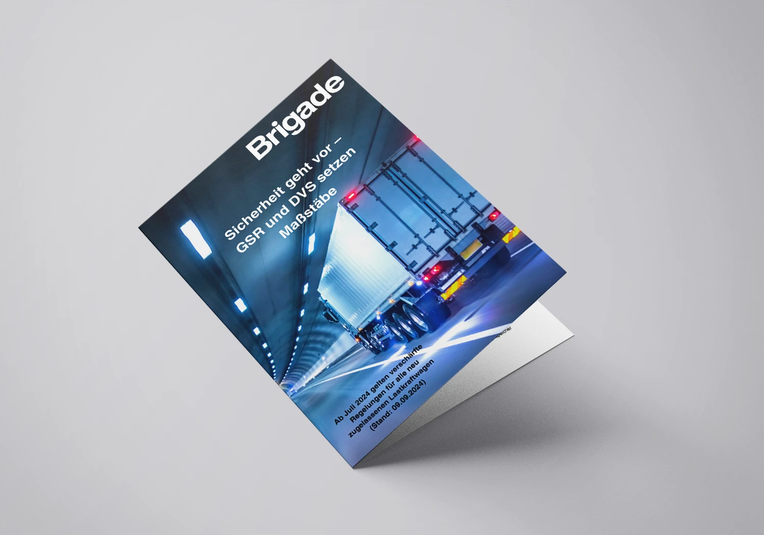 Direct Vision Standard (DVS) Guide - Brigade Electronics