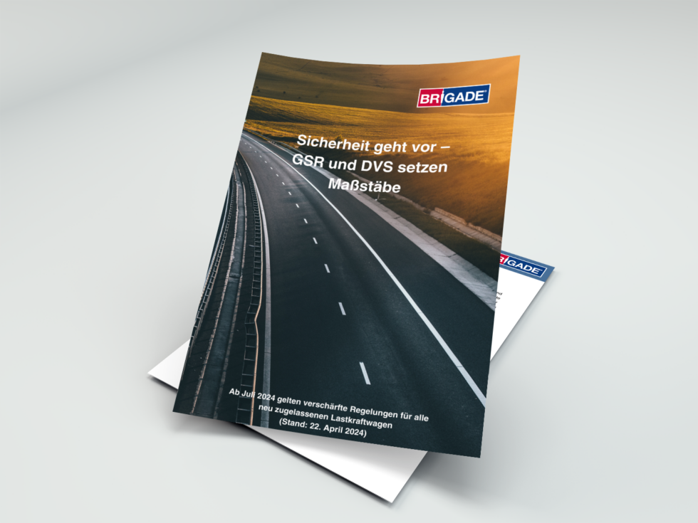 Direct Vision Standard (DVS) Guide - Brigade Electronics