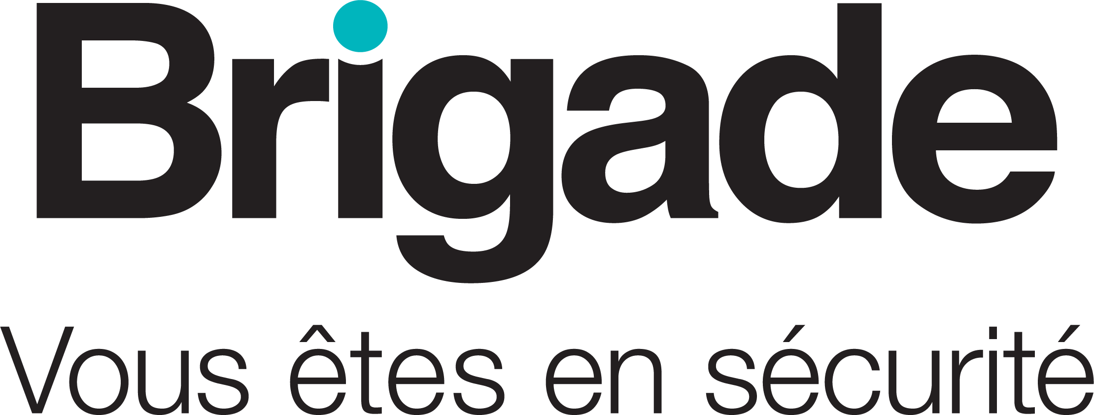 Systèmes de sécurité et caméras pour véhicules utilitaires - Brigade ...