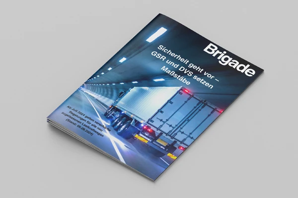 Direct Vision Standard (DVS) Guide - Brigade Electronics